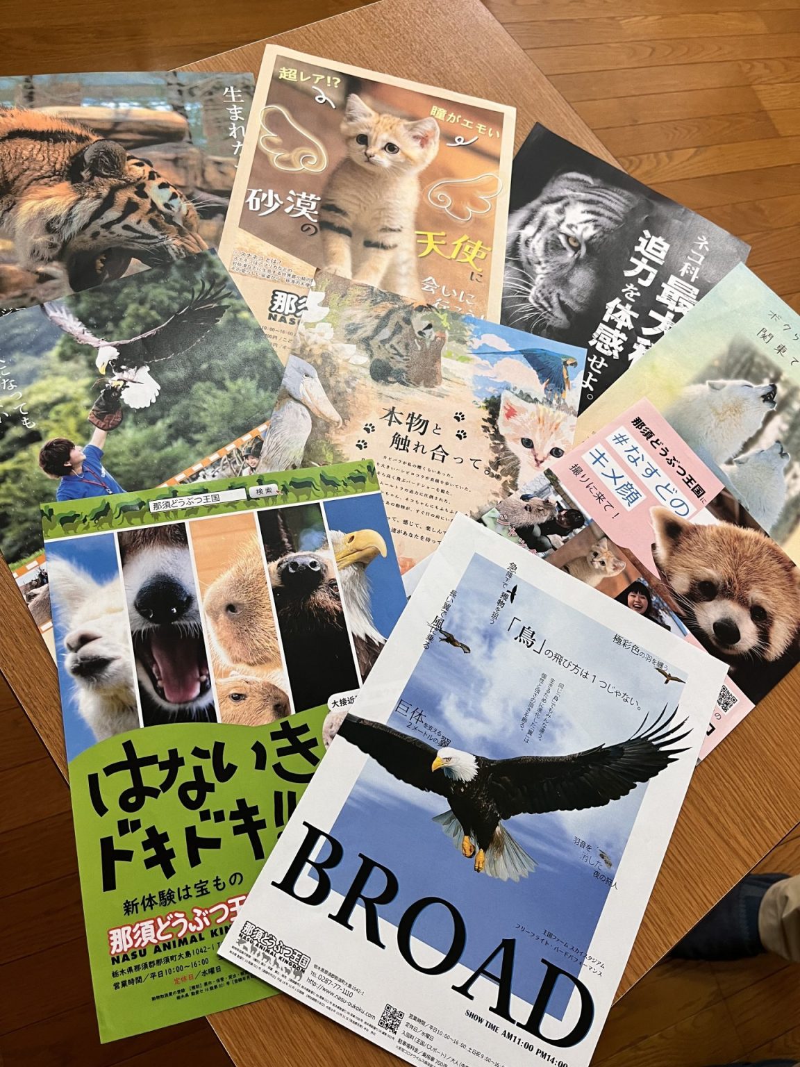 夢をサポートする職業訓練校(シンビデザインスクール) - SHINBI DESIGN SCHOOL